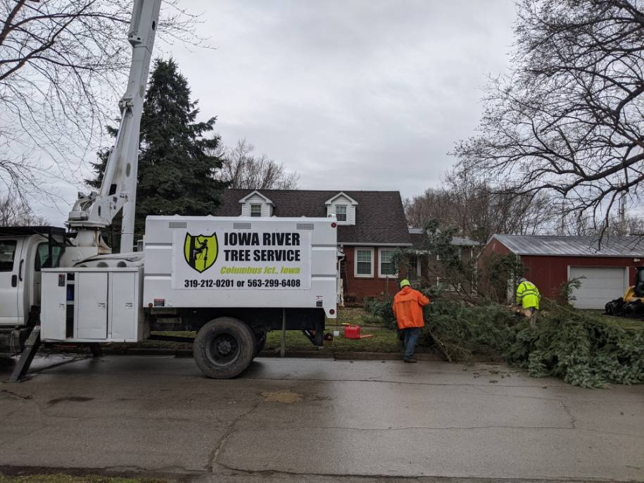 Iowa River Tree Service - Columbus Junction, IA